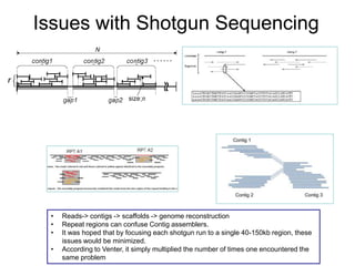 Next Gen Sequencing (NGS) Technology Overview | PPTX