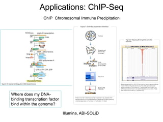 Next Gen Sequencing (NGS) Technology Overview | PPTX