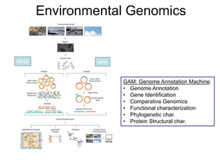 Next Gen Sequencing (NGS) Technology Overview | PPTX