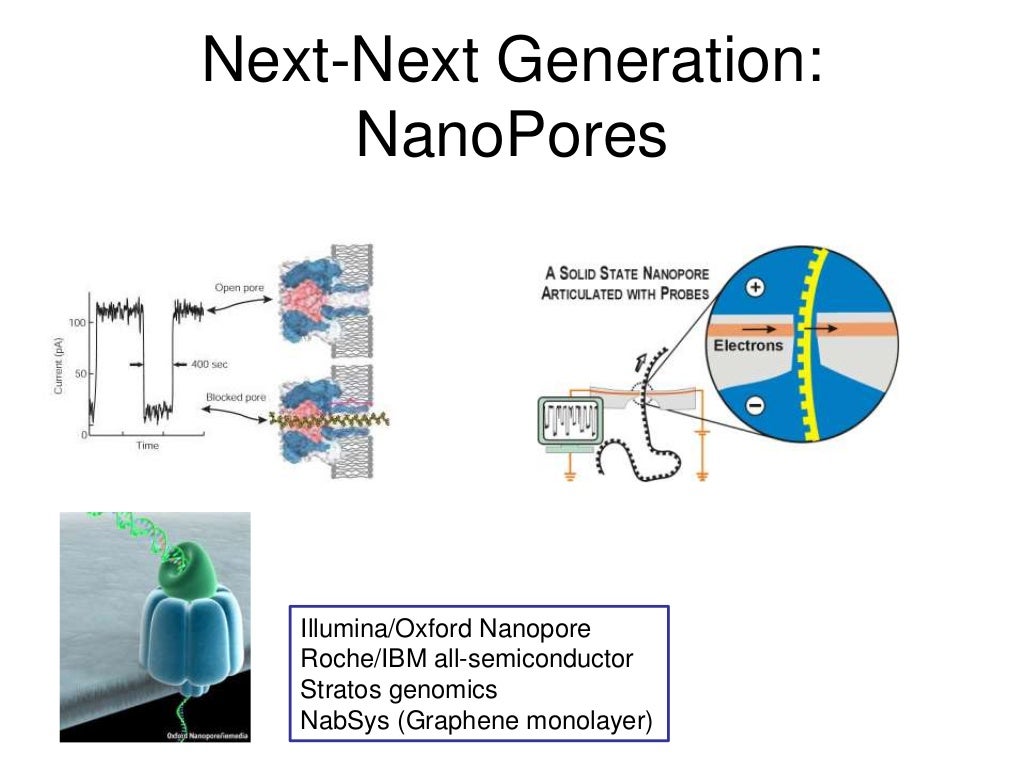 Next Gen Sequencing (NGS) Technology Overview
