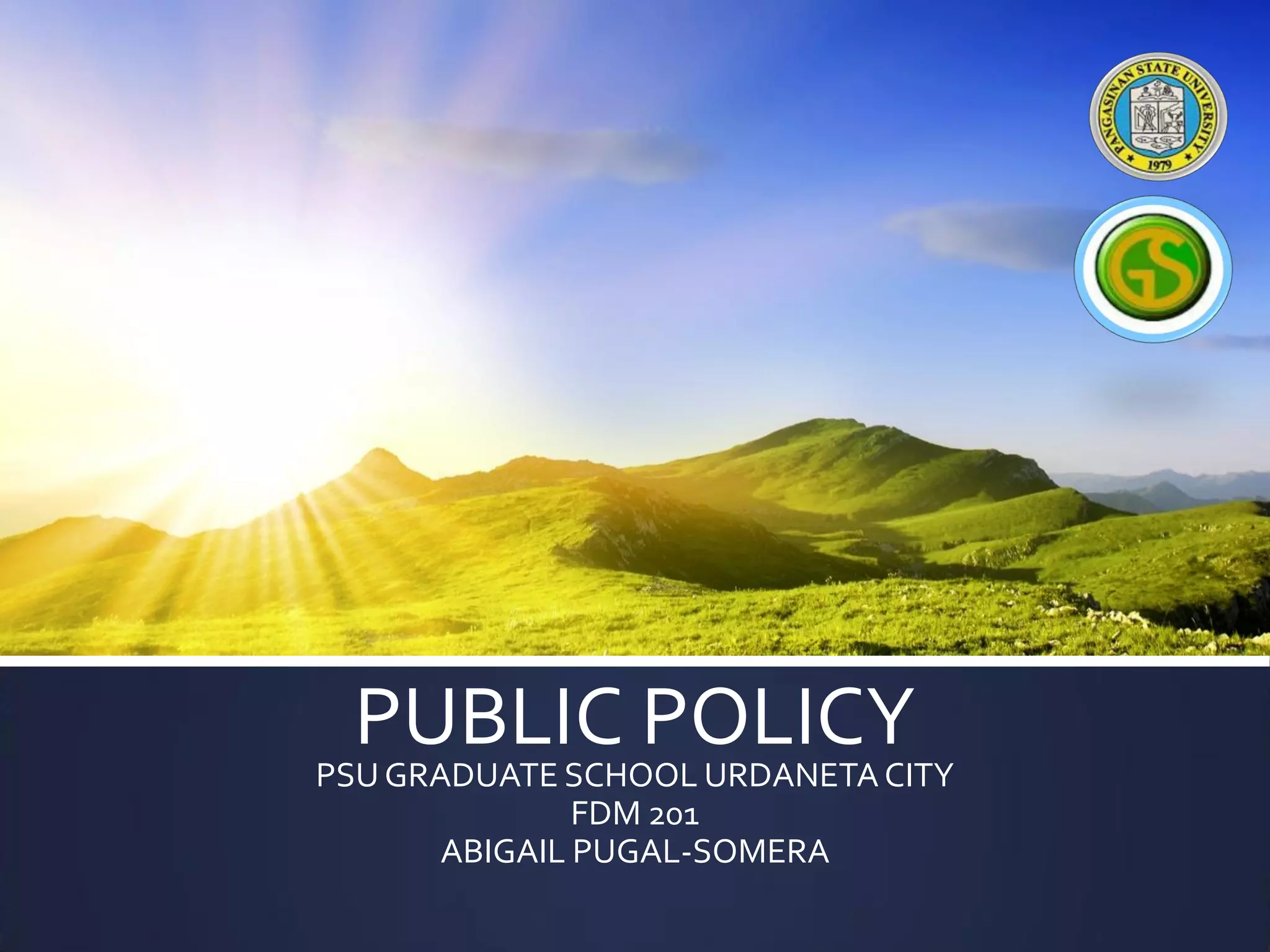 publicpolicy-130621235359-phpapp02 (1).pdf