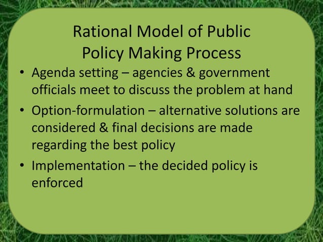 Public Policy & Program Administration | PDF