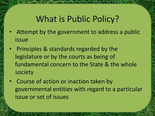 Public Policy & Program Administration | PDF