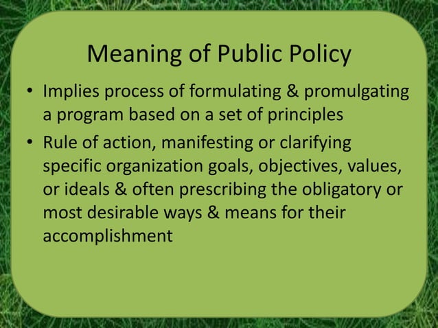 Public Policy & Program Administration | PDF