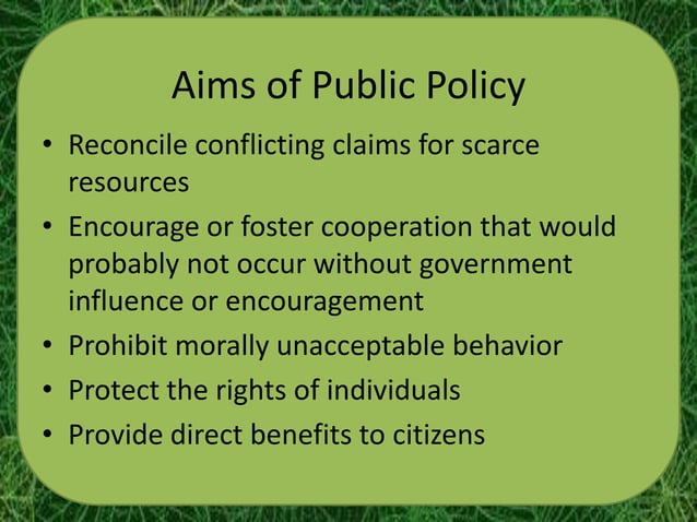 Public Policy & Program Administration | PDF