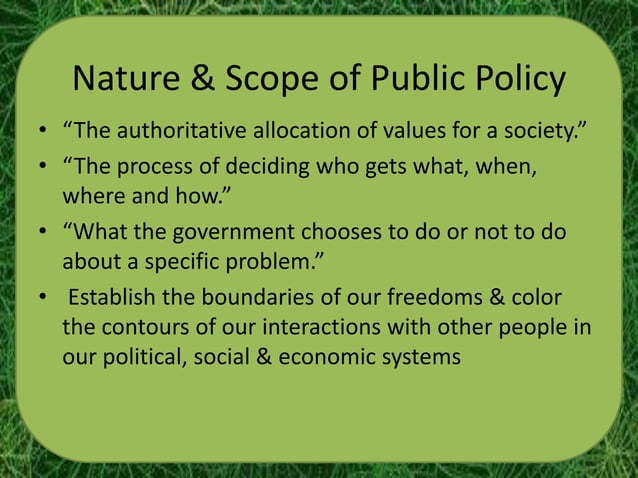 Public Policy & Program Administration | PDF