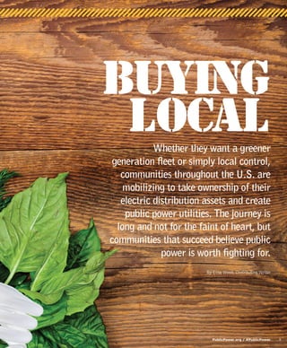 Public Power Magazine - Jan/Feb 2016 | PDF