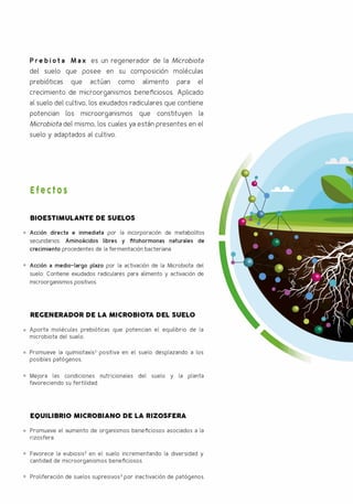 Prebiota Max - Regenerador de la Microbiota del Suelo | Kimitec Group | PDF