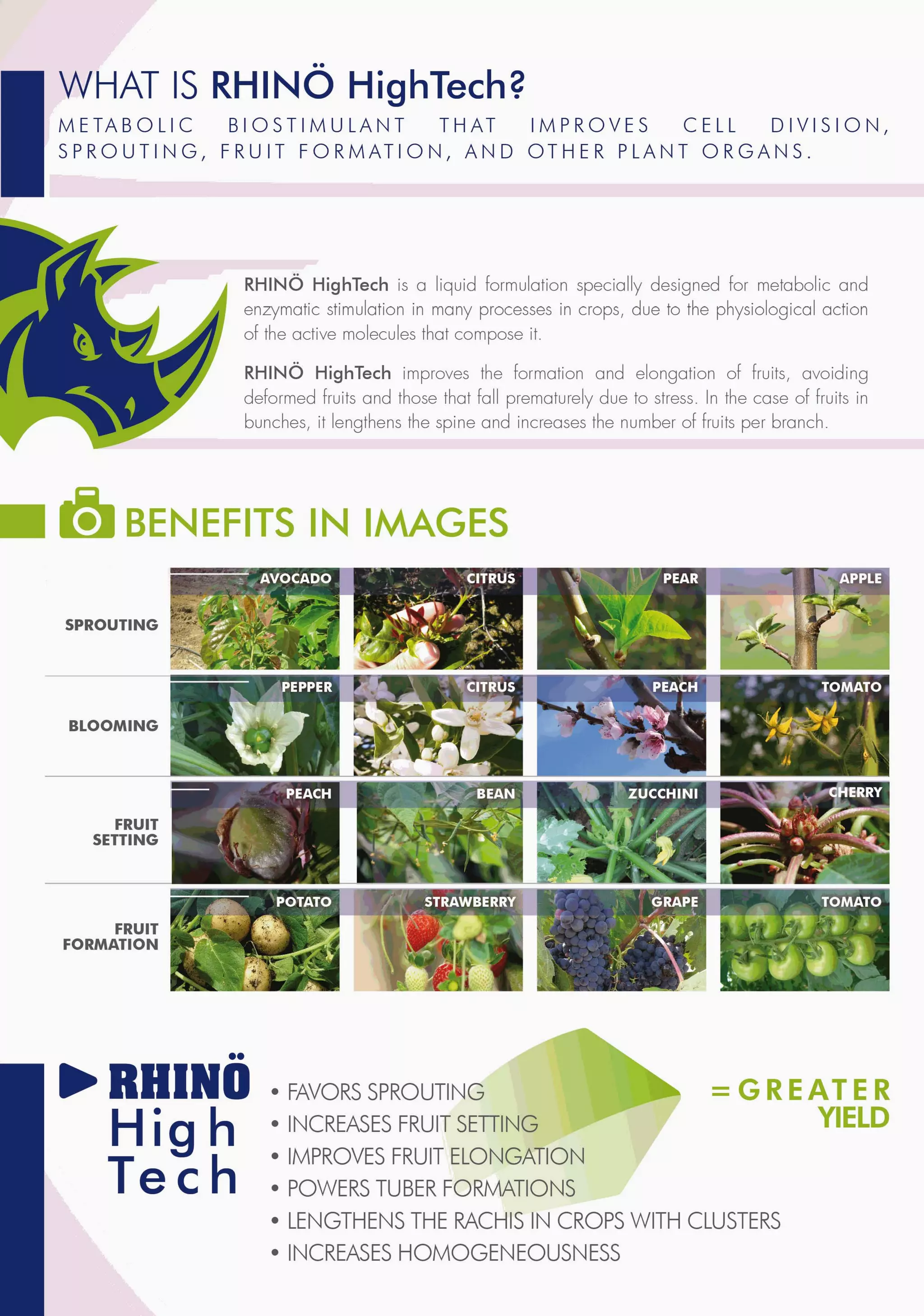 Rhinö HighTech - Non-Hormonal Metabolic Biostimulant | Kimitec Group | PDF