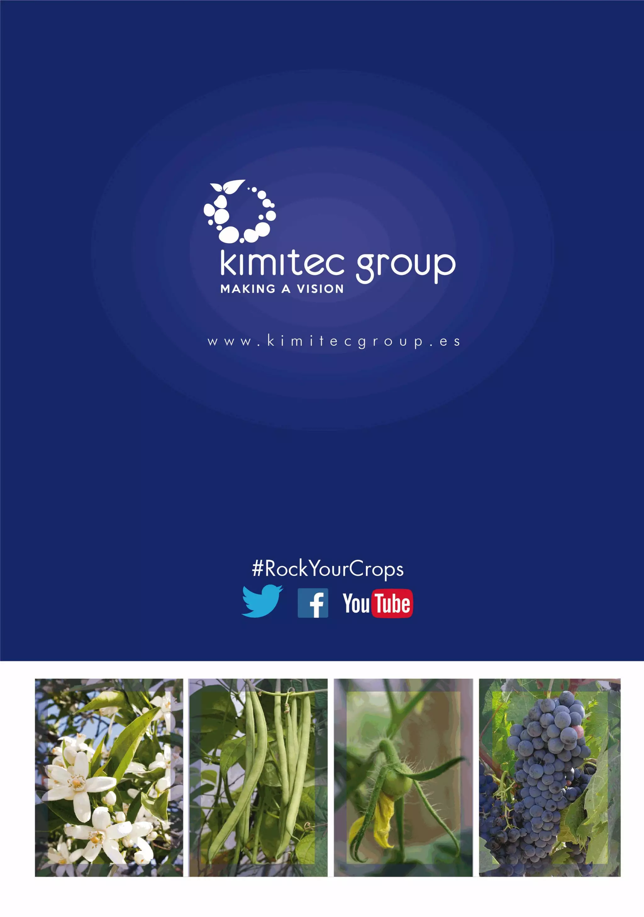 Rhinö HighTech - Non-Hormonal Metabolic Biostimulant | Kimitec Group | PDF