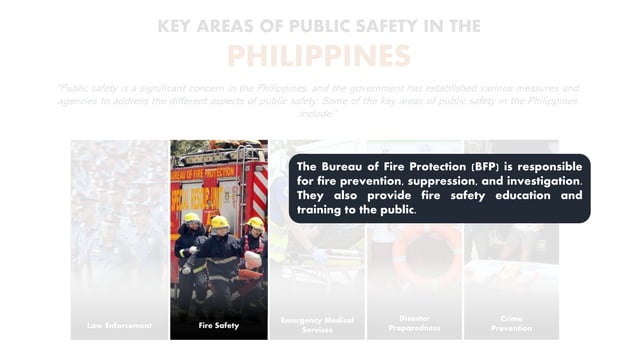PUBLIC SAFETY | PDF