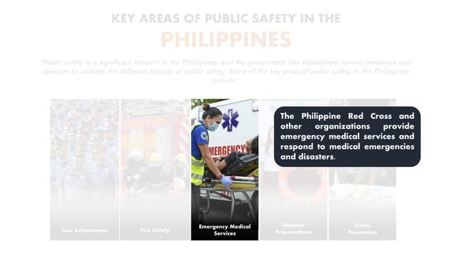 PUBLIC SAFETY | PDF