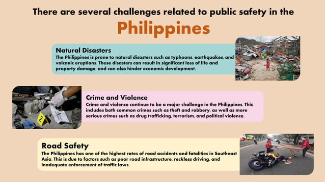 PUBLIC SAFETY | PDF