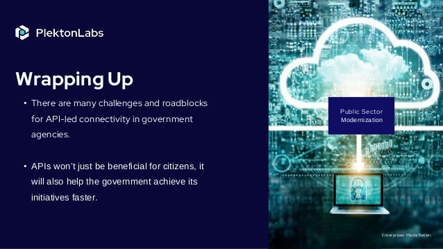 Public Sector Modernization.pptx