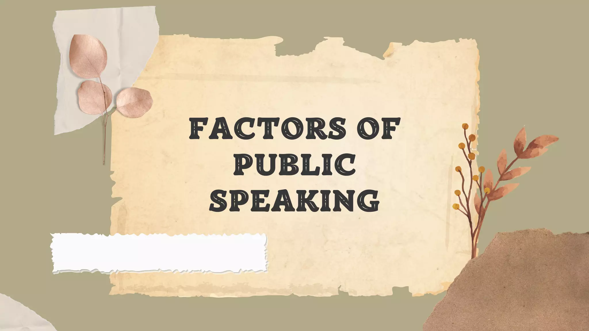 Public Speaking | PDF