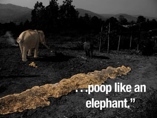 Public Speaking rough draft | PDF