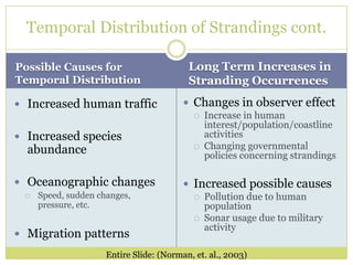 Causes of Live Strandings in Cetaceans | PPT
