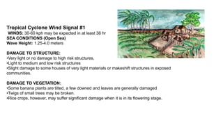 Public storm warning signal | PPTX