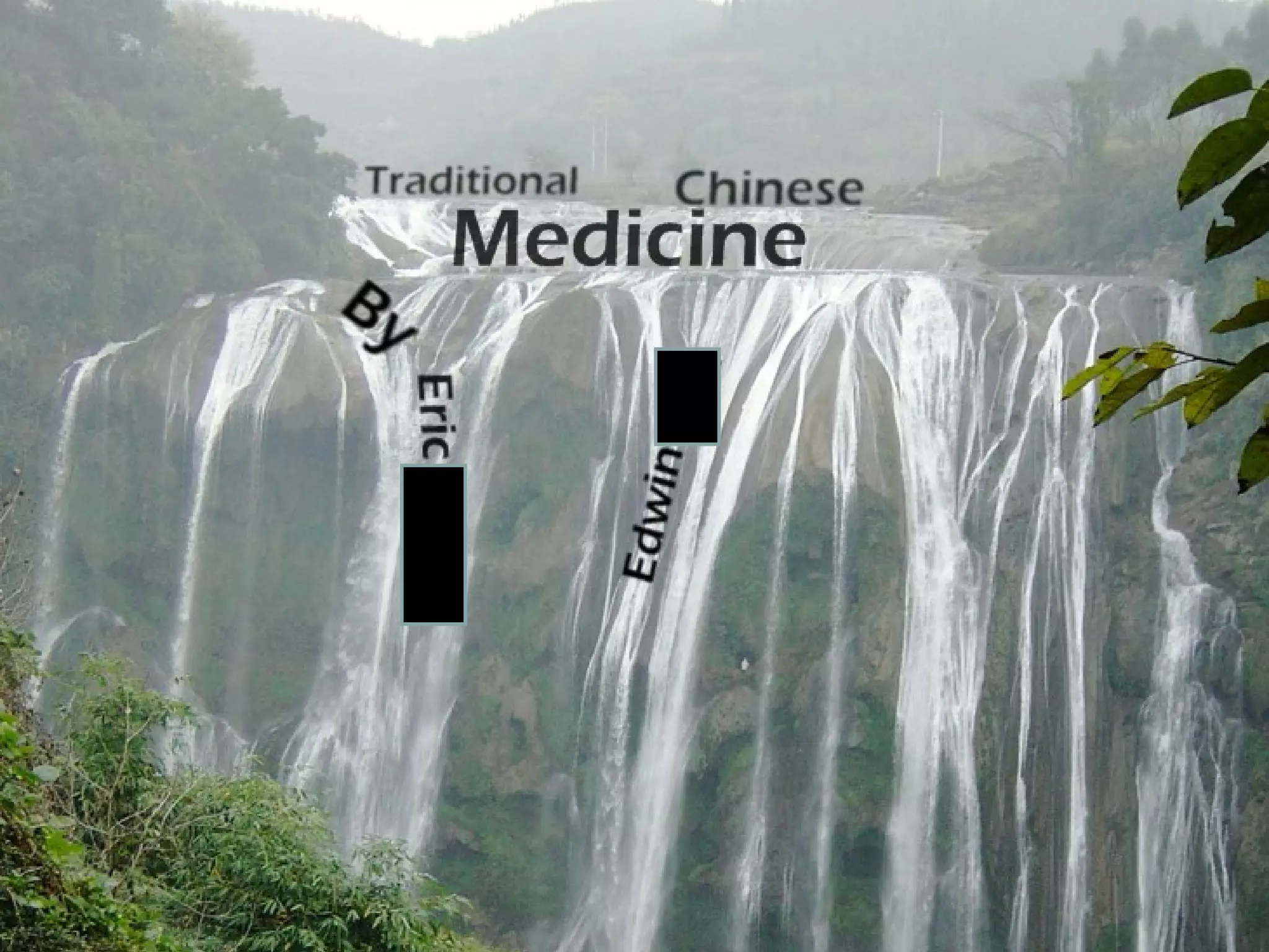 Traditional Chinese Medicine | PPT
