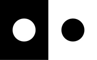 Lviv Public Transport Display Case Study | PPT