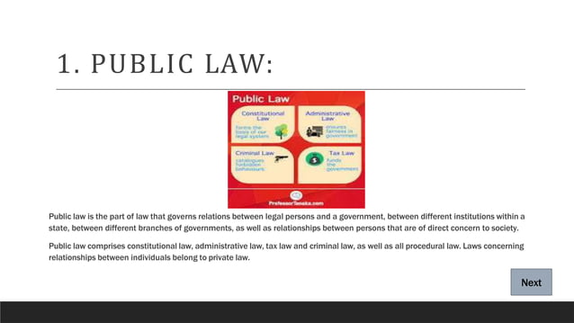 public v private law interactive LaetitiaMakombe (1).pptx