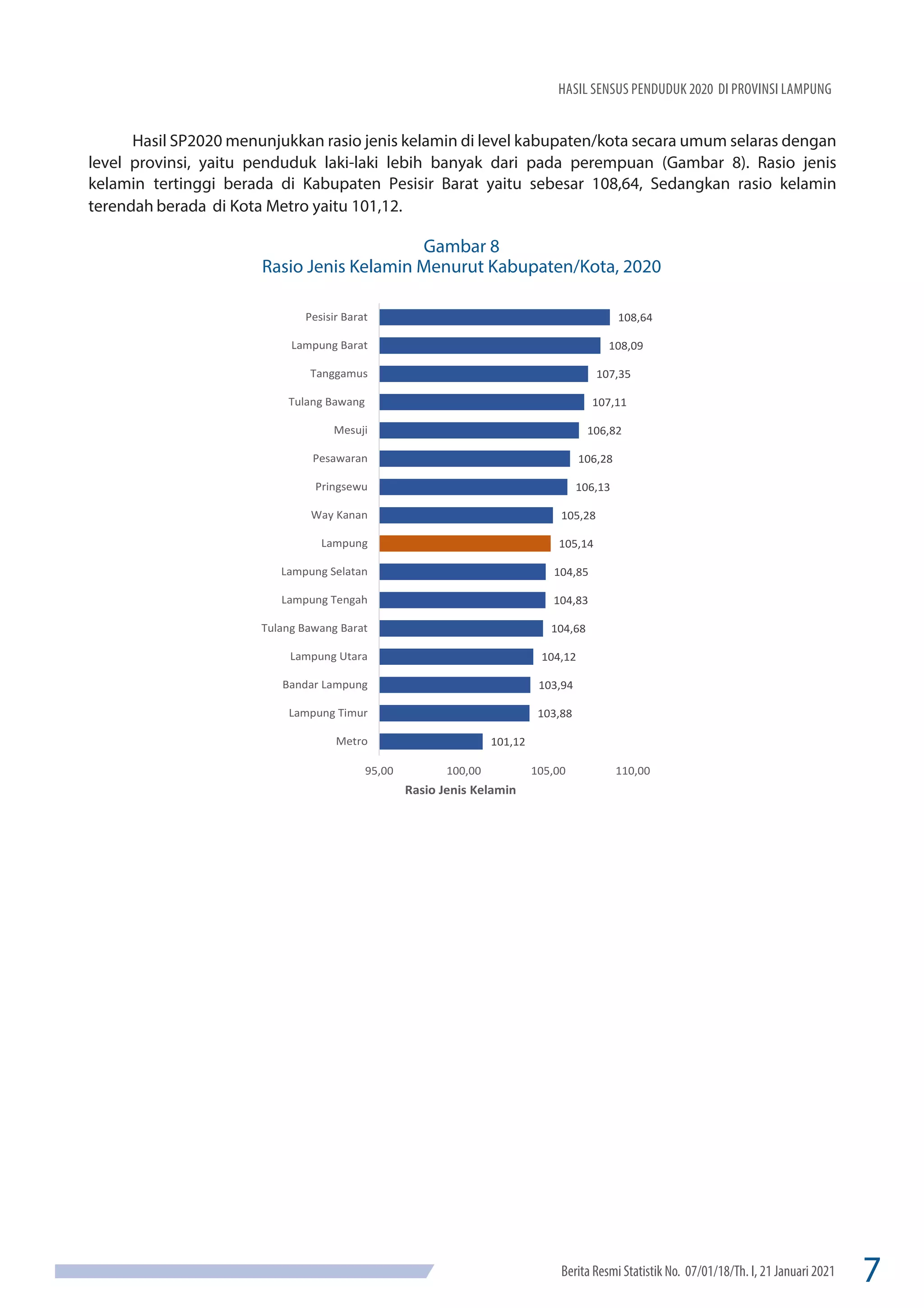 Publikasi bps hasil sensus 2020 | PDF