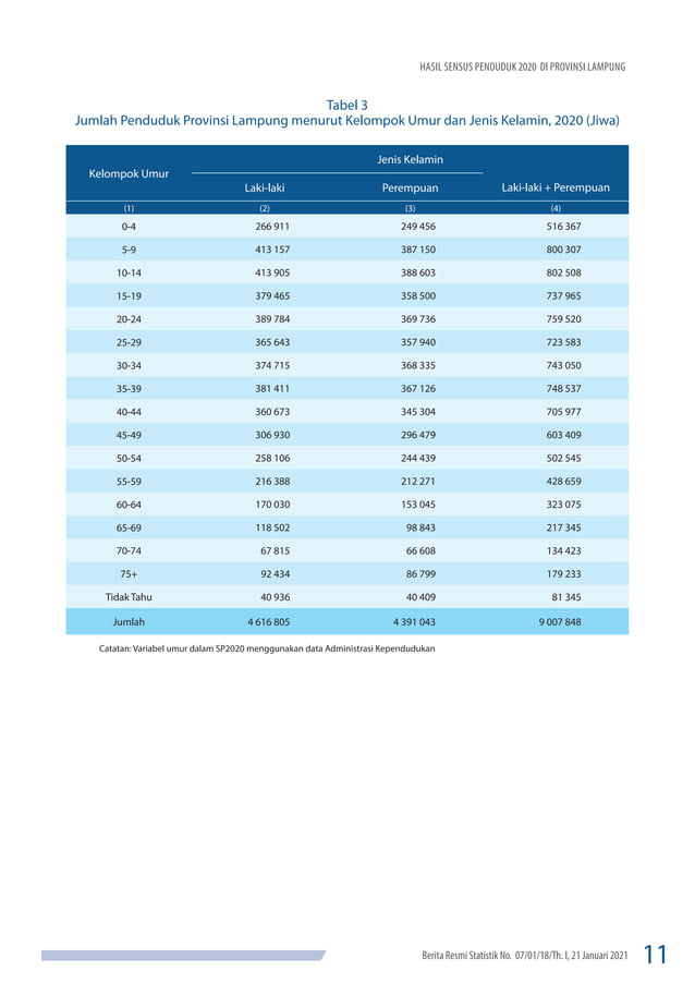 Publikasi bps hasil sensus 2020 | PDF
