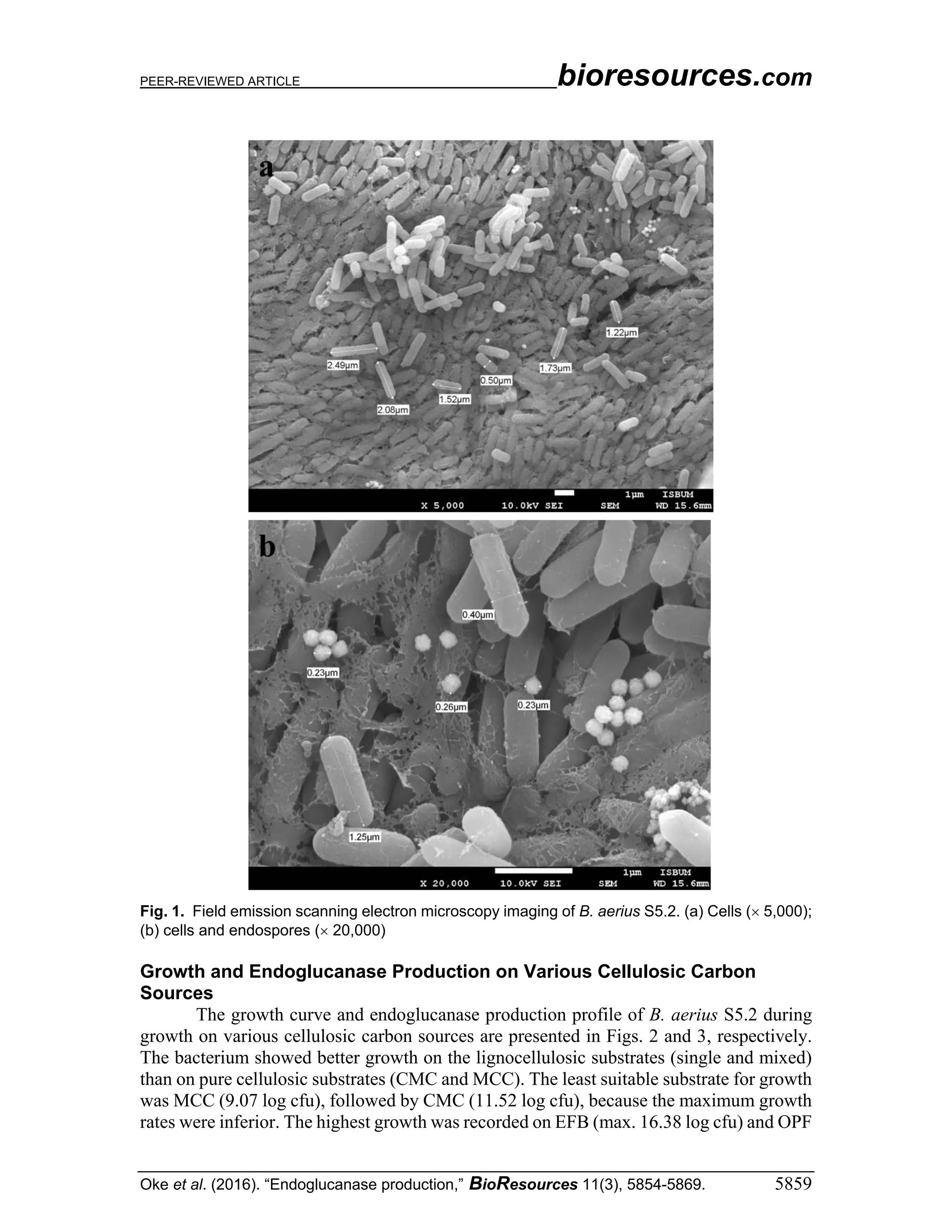 Enhanced endoglucanase production by Bacillus aerius on mixed ...