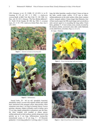 Published solanum | PDF | Gardening | Home & Garden