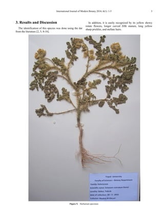 Published solanum | PDF | Gardening | Home & Garden