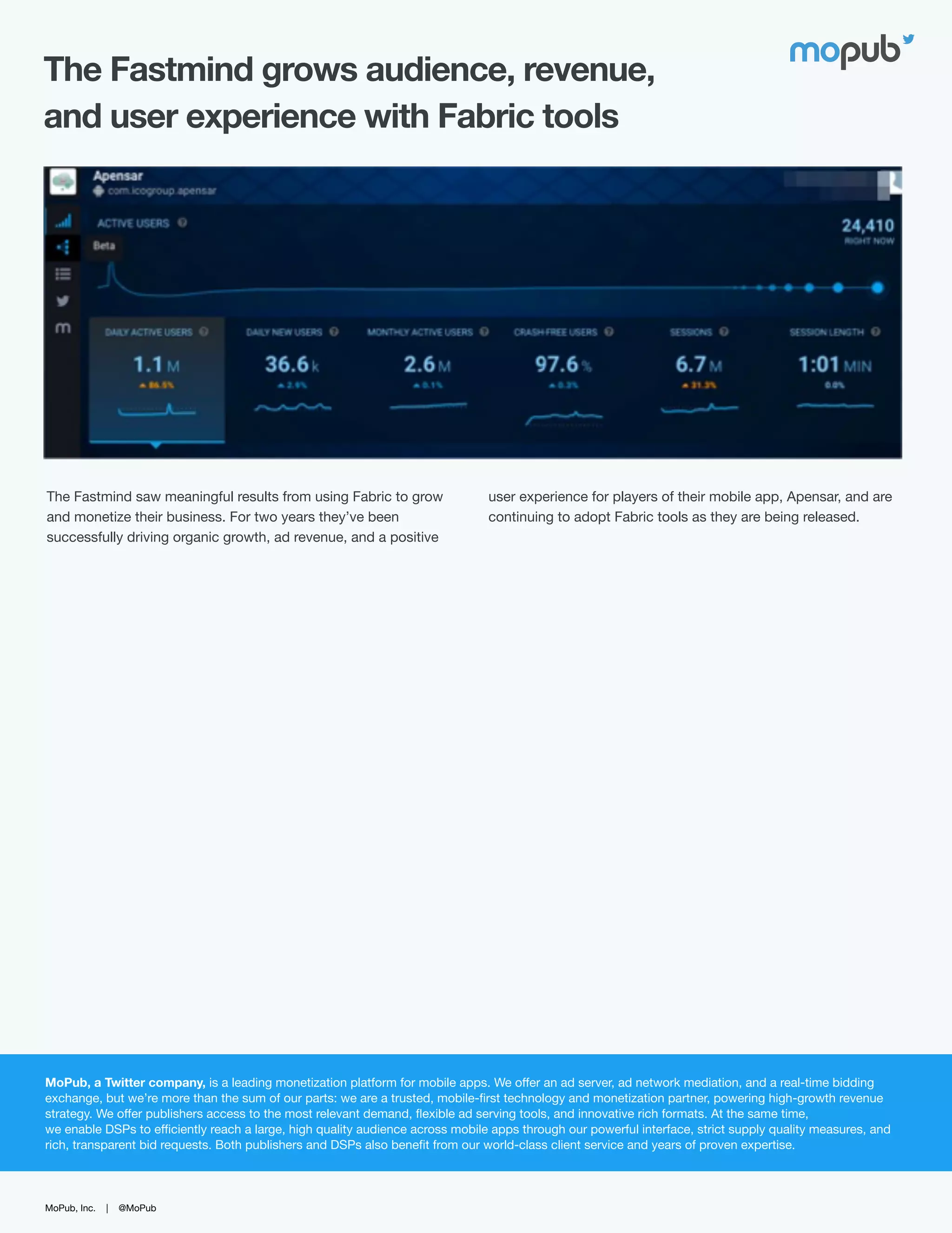 Publisher success story: The Fastmind | PDF