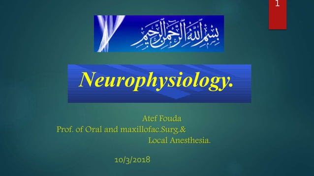 Neurophysiology | PPTX | Brain and Nervous System Disorders | Diseases ...