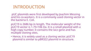 pUC 19 vector ( Microbial biotechnology)pptx | PPTX