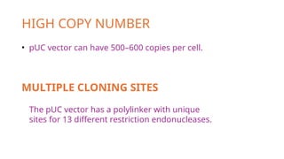 pUC 19 vector ( Microbial biotechnology)pptx | PPTX | Biological ...