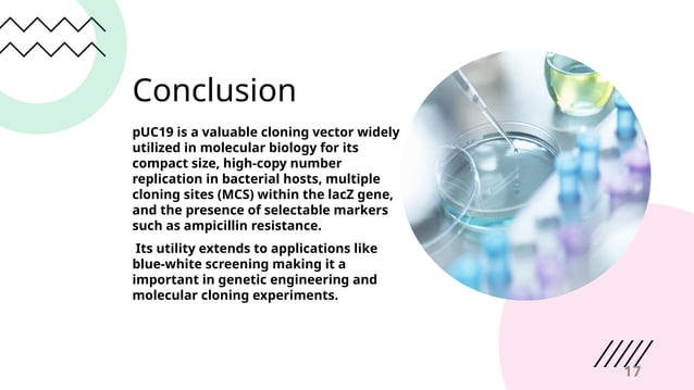 PUc19 plasmid cloning vector genetic engineering ppt | PPT