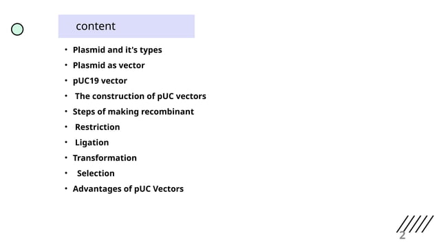 Puc19 Plasmid Cloning Vector Genetic Engineering Ppt Ppt