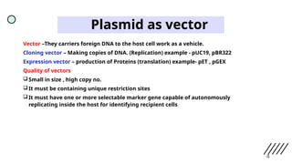 PUc19 plasmid cloning vector genetic engineering ppt | PPTX ...