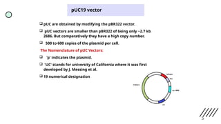 PUc19 plasmid cloning vector genetic engineering ppt | PPTX | Biological Sciences | Science
