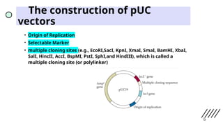 PUc19 plasmid cloning vector genetic engineering ppt | PPTX | Biological Sciences | Science