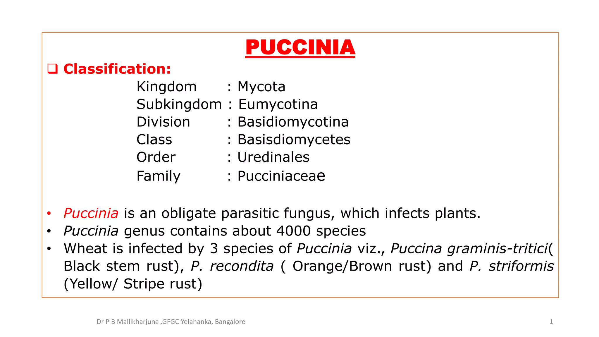 Puccinia | PDF