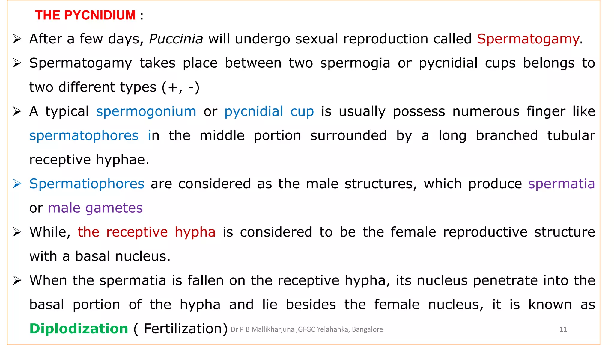 Puccinia | PDF
