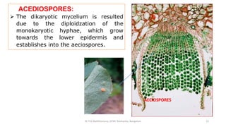 Puccinia | PDF