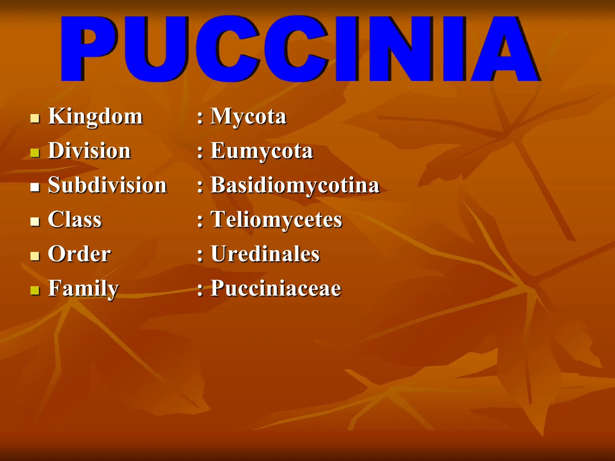 Different stages in the life cycle of Puccinia | PPTX