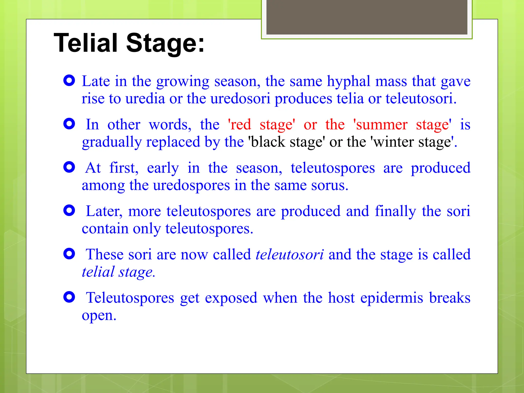 Different stages in the life cycle of Puccinia | PPTX