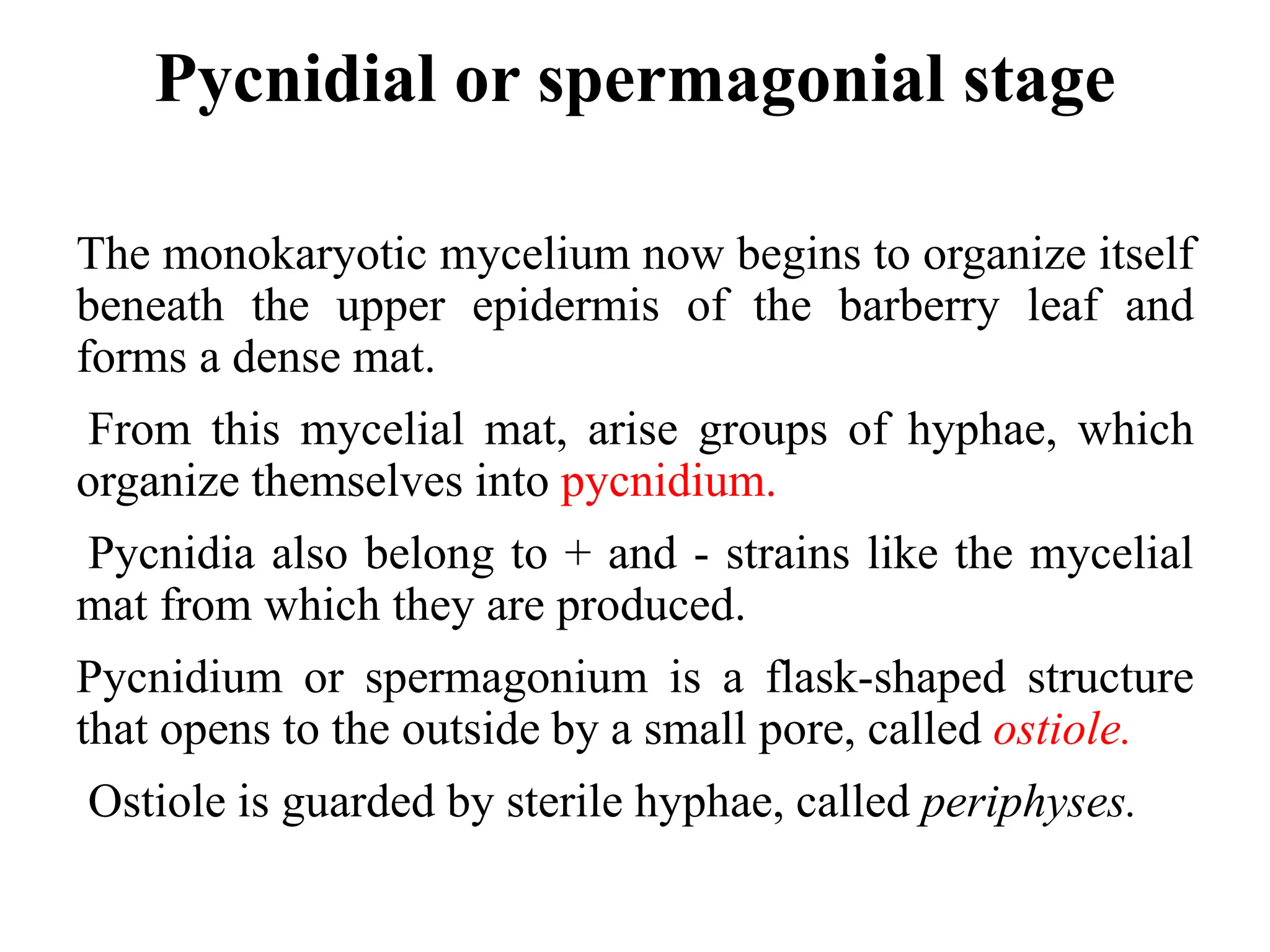 Different stages in the life cycle of Puccinia | PPTX