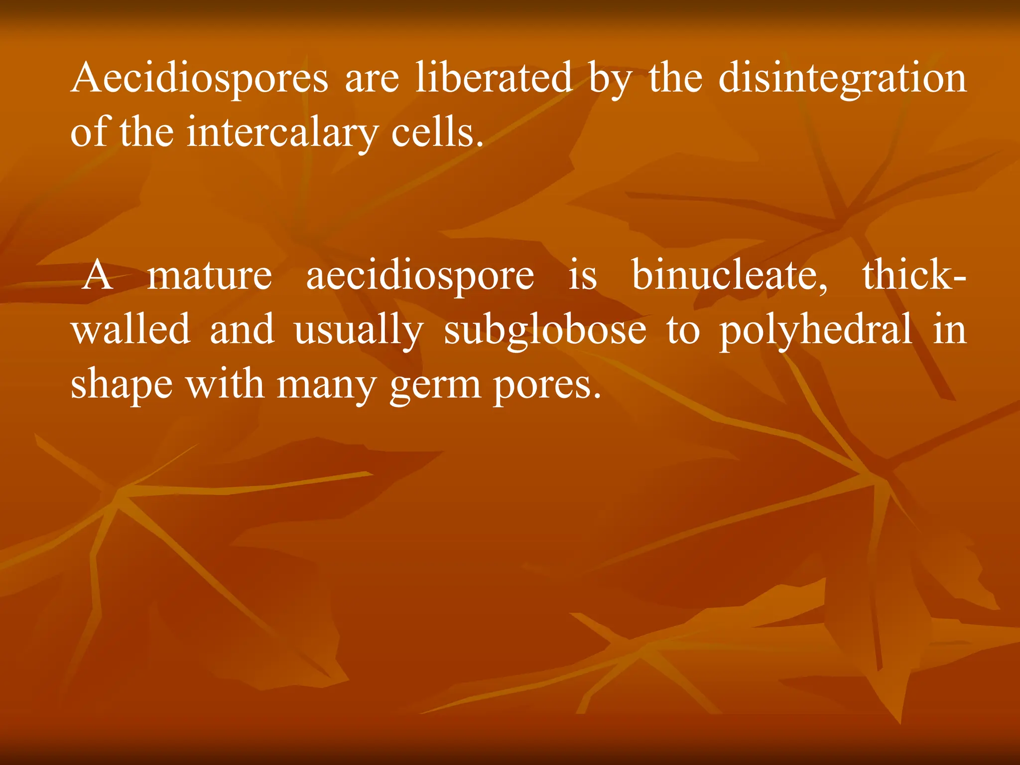 Different stages in the life cycle of Puccinia | PPTX