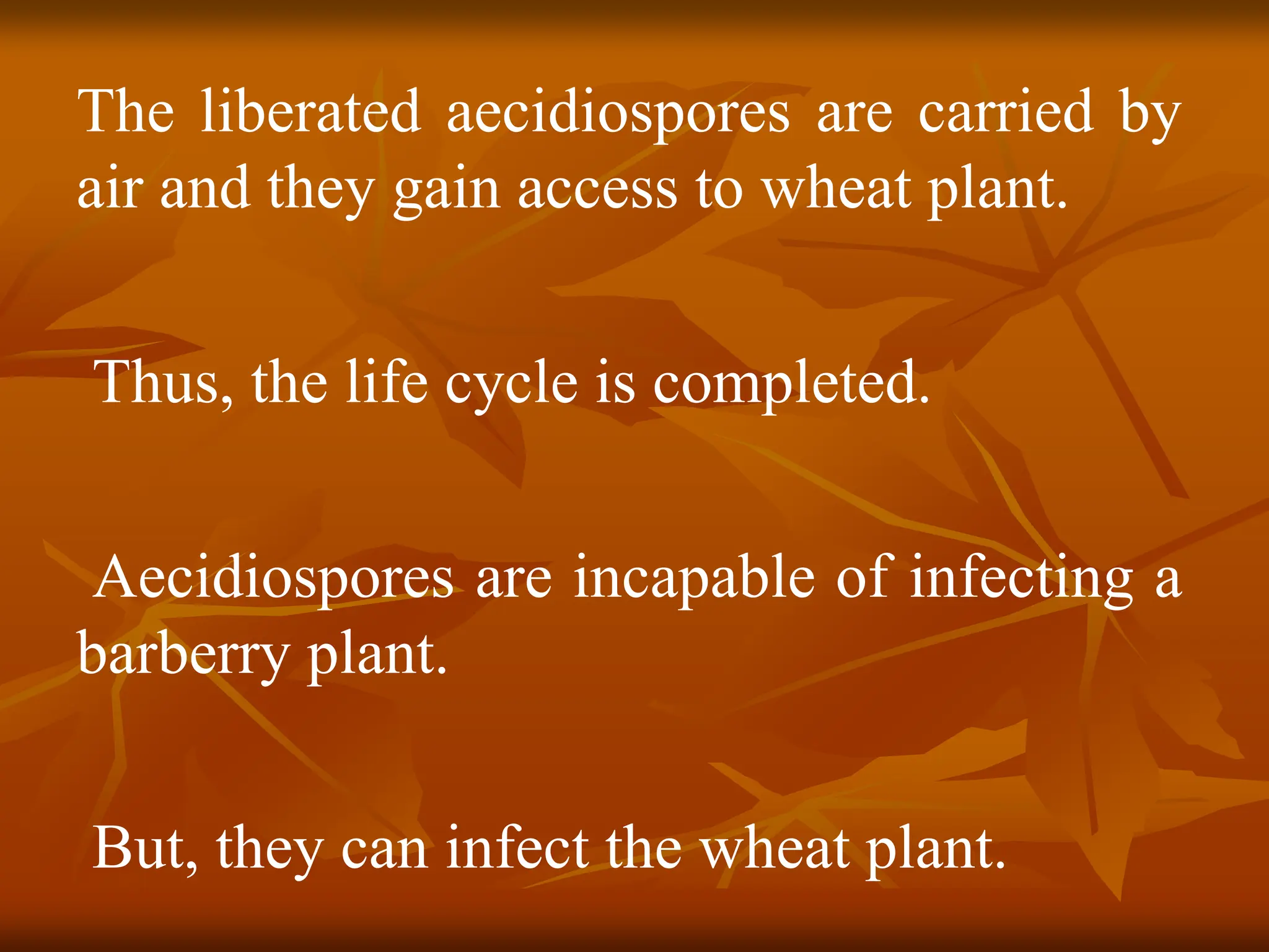 Different stages in the life cycle of Puccinia | PPTX