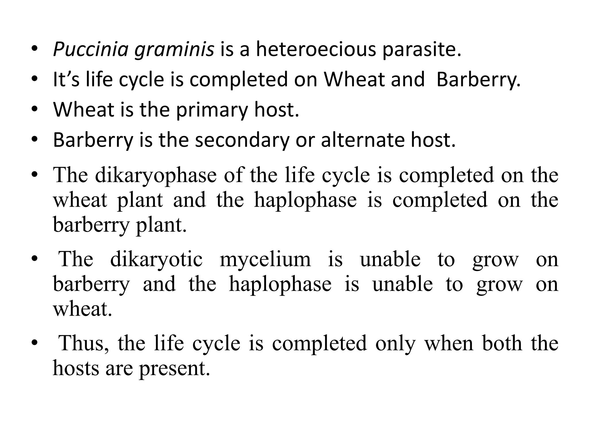 Different stages in the life cycle of Puccinia | PPTX