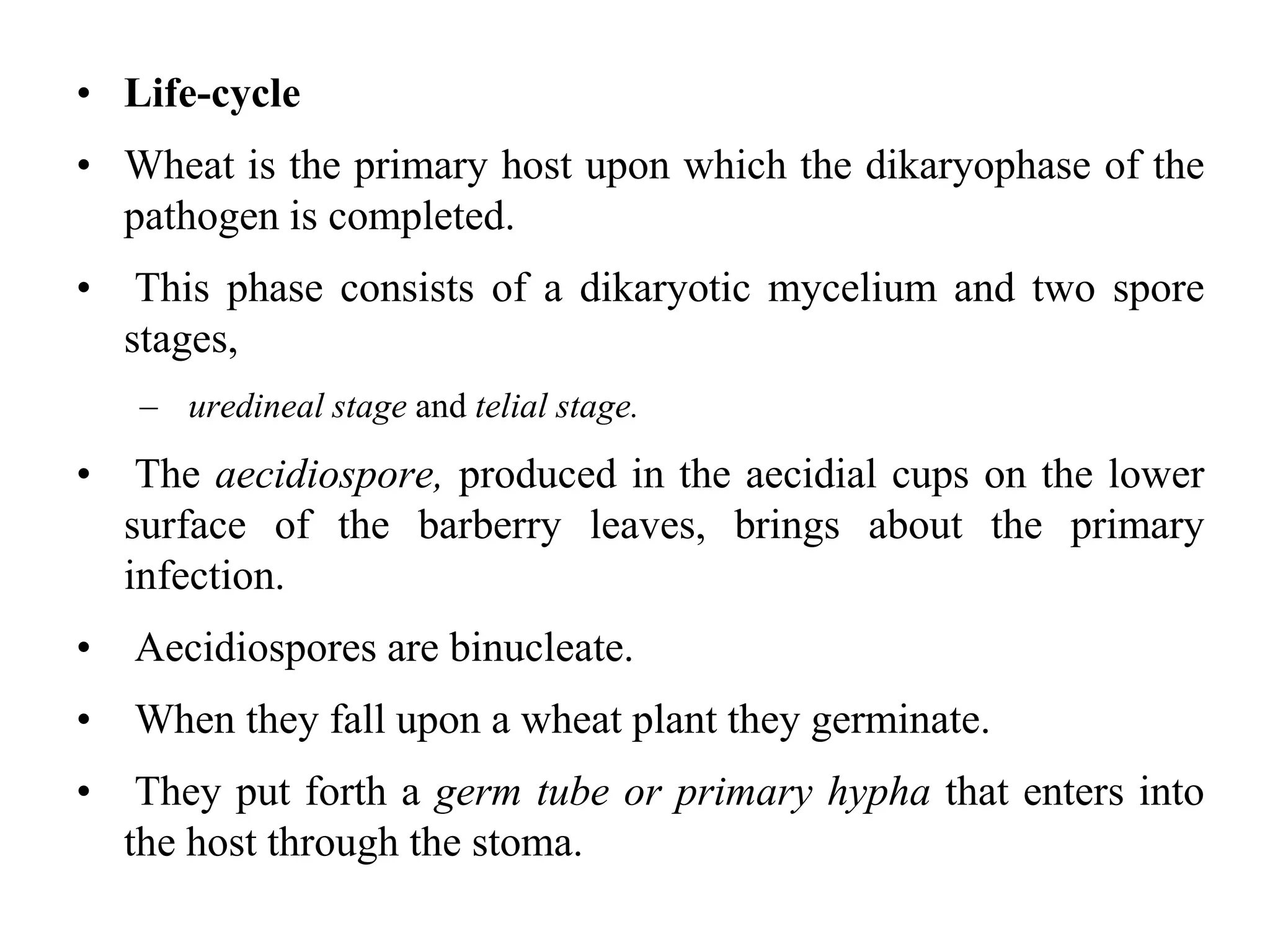 Different stages in the life cycle of Puccinia | PPTX