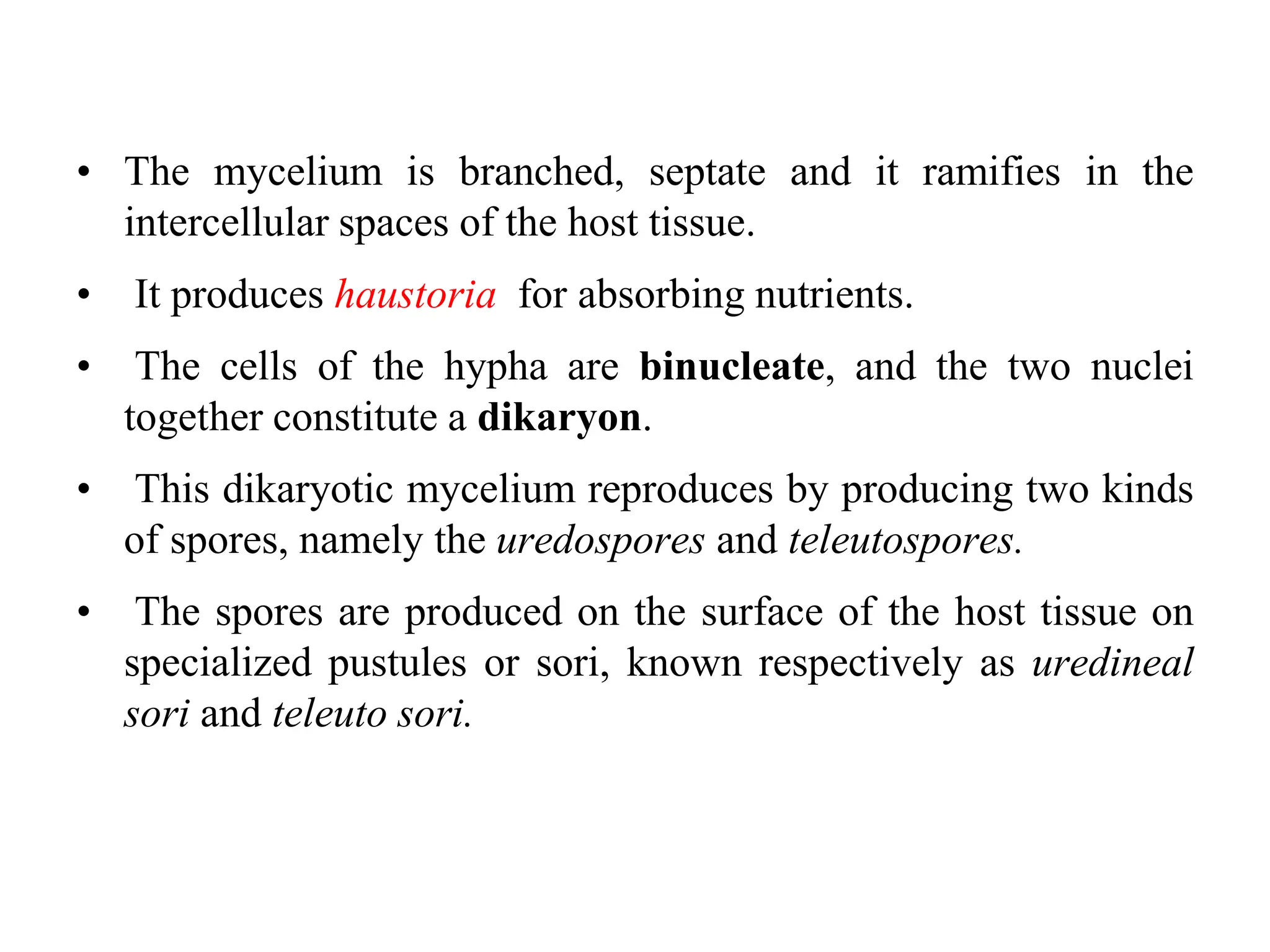 Different stages in the life cycle of Puccinia | PPTX